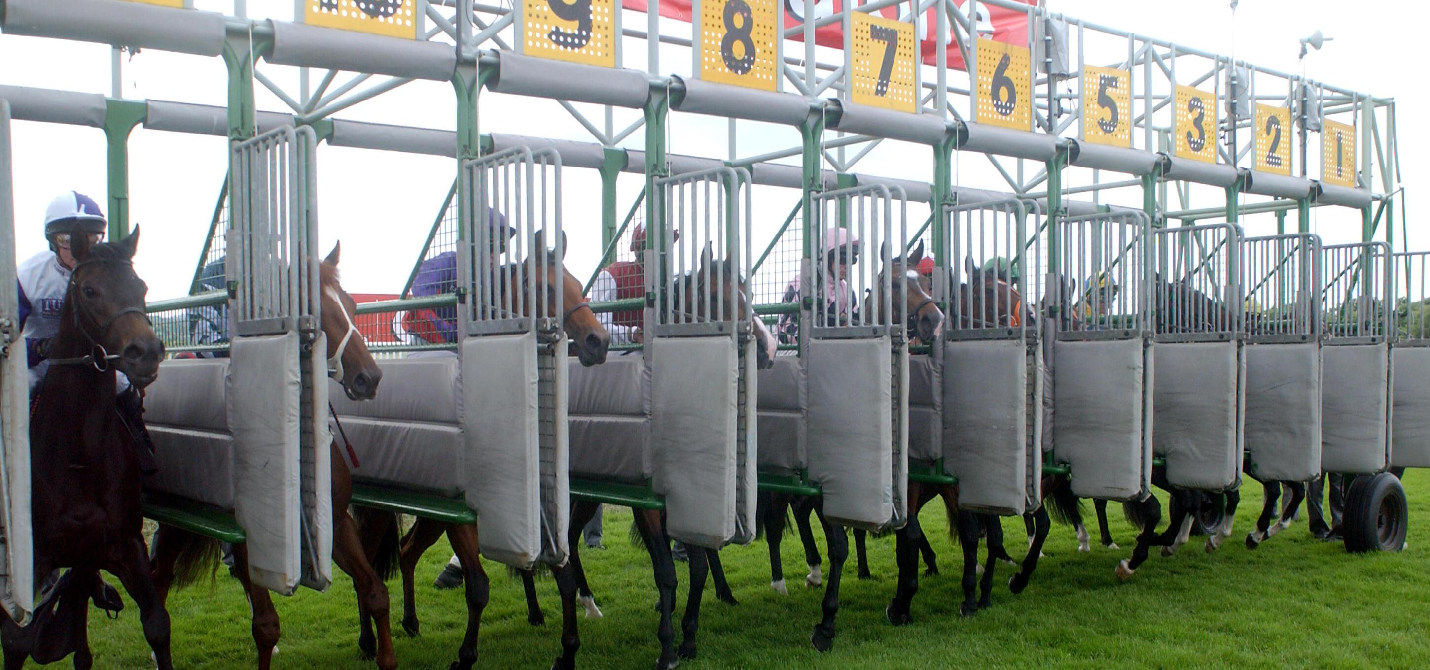 Epsom Derby draw & declarations - bet365 News UK