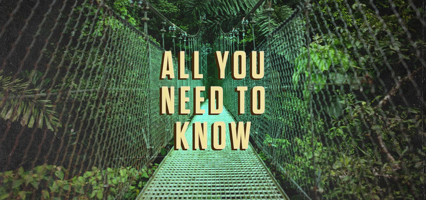 Who is I'm a Celebrity contestant Angry Ginge? - bet365 News UK