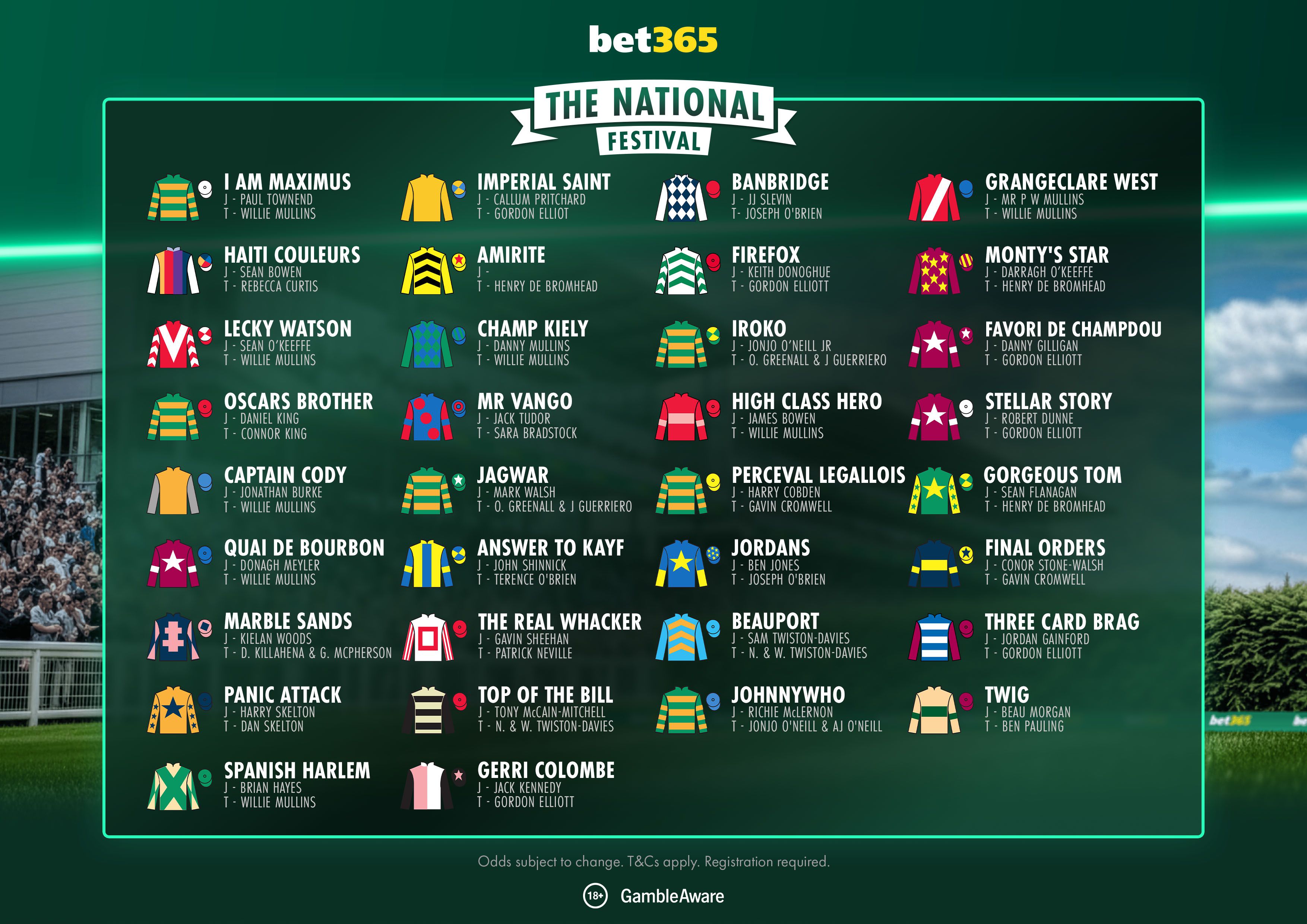 Print your own 2026 Grand National sweepstake