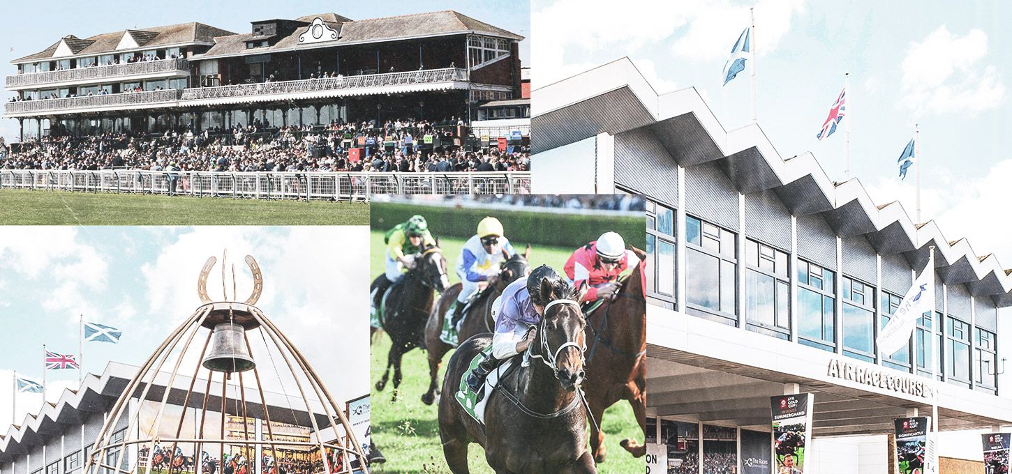 Five horses to watch at the 2025 Cheltenham November meeting