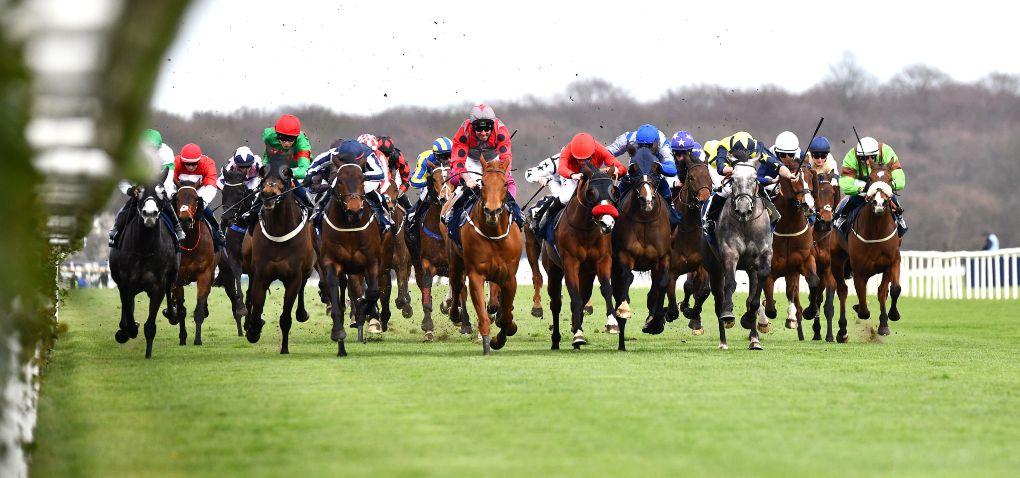 Horse Racing Betting Tips for Tuesday 14th April - bet365 News UK