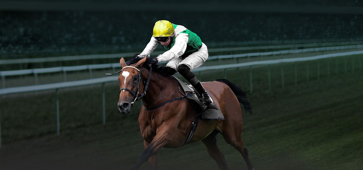 Grand National Betting Odds, Tips and Aintree News - bet365