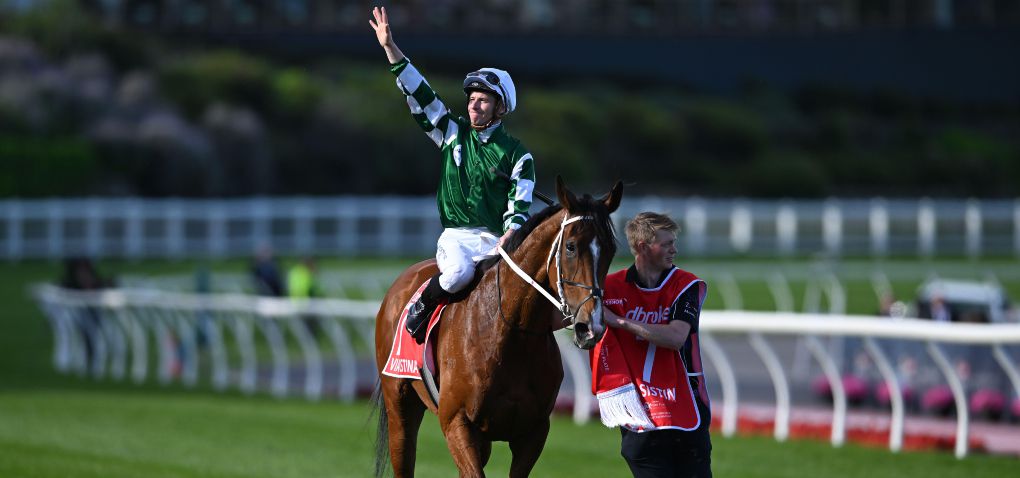 Cheltenham Horse Racing Betting Tips for Friday 24th October - bet365 ...