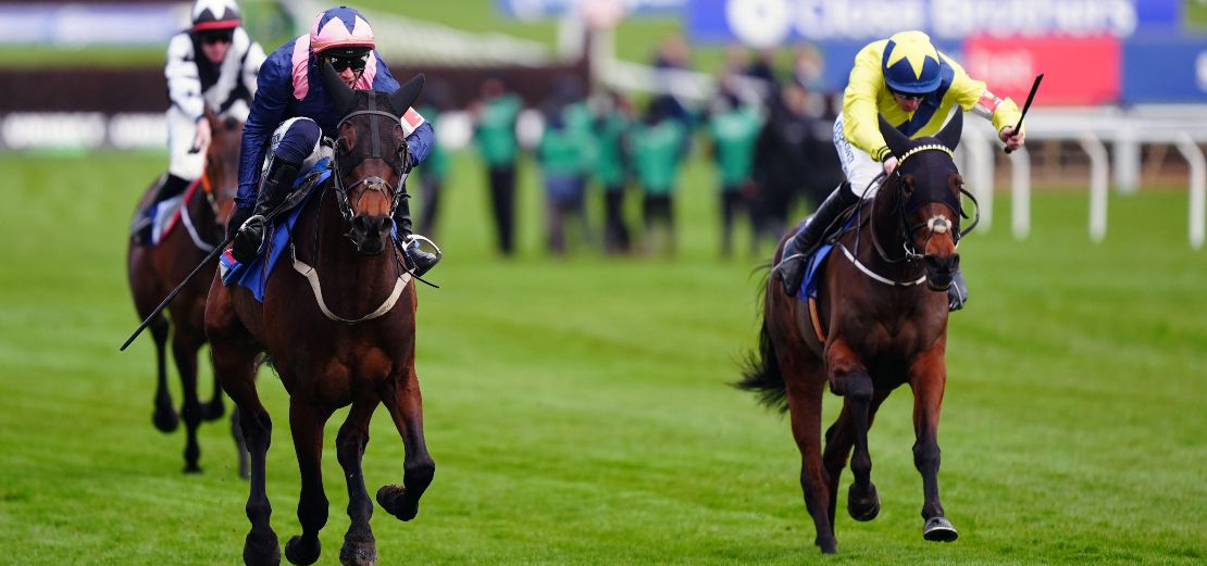 2025/26 UK National Hunt Trainers' Championship odds - bet365 News UK