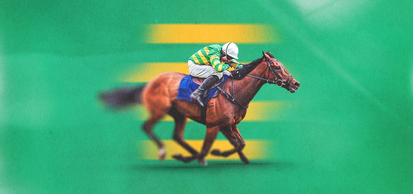 Who will ride The New Lion next season? Cobden or Skelton?